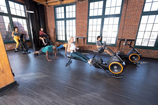 Octane Rō | Commercial Rowing Machine | Octane Fitness